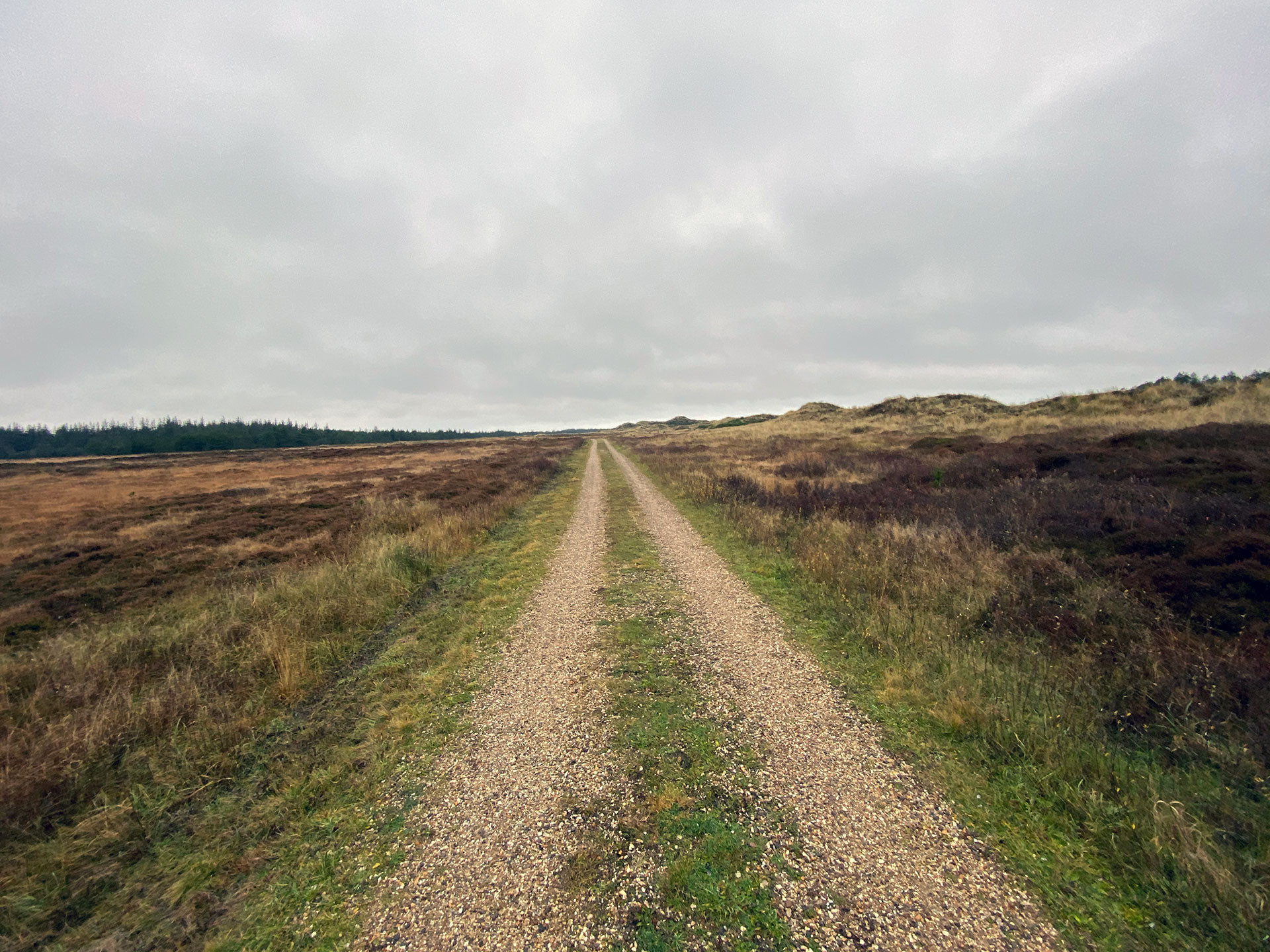 Adventure to Thy National Park - Christian Orry